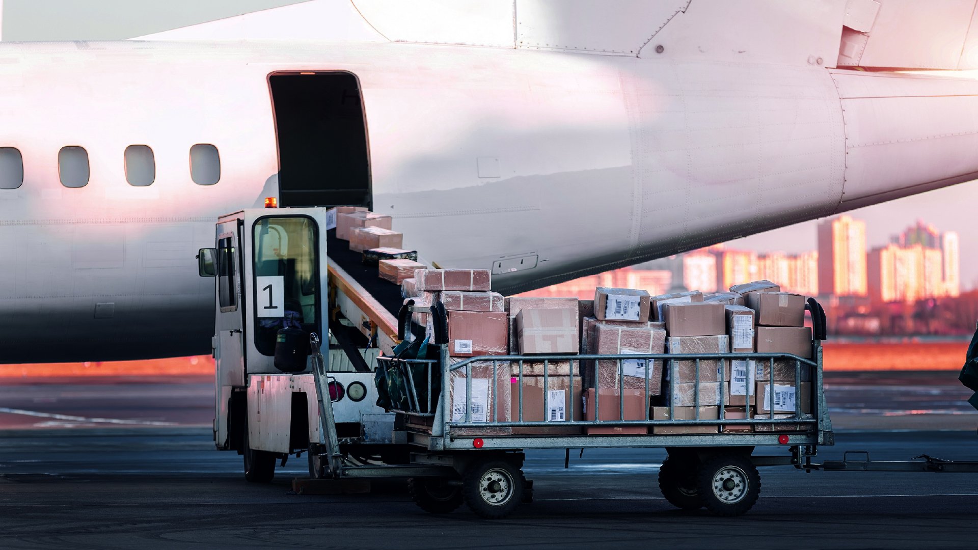 Cargo Management Solutions | CHAMP Cargosystems