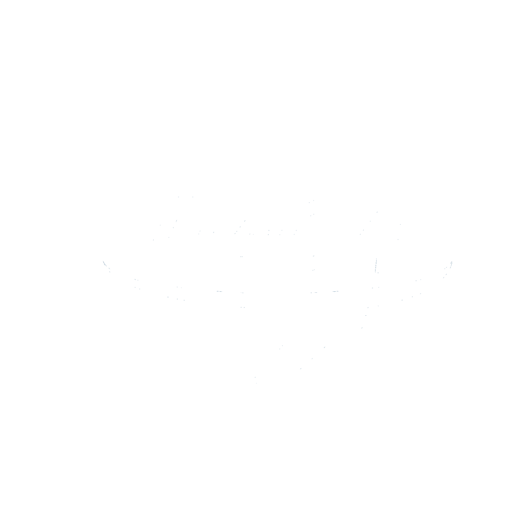 CHAMP - IT solutions for airlines, forwarders, GSAs & handlers